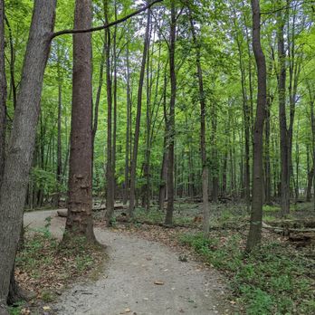 CARPENTER LAKE NATURE PRESERVE - Updated October 2025 - 161 Photos & 48 ...