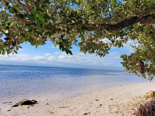 LONG KEY STATE PARK - Updated February 2025 - 174 Photos & 70 Reviews ...