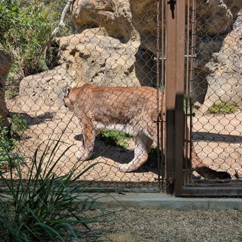 OC ZOO IRVINE REGIONAL PARK - Updated October 2025 - 111 Photos & 41 ...