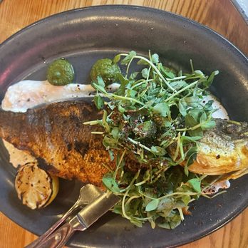 MESO MODERN MEDITERRANEAN - Updated June 2024 - 2284 Photos & 843 ...