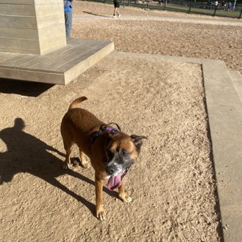 JOHNNY STEELE DOG PARK - Updated October 2025 - 178 Photos & 134 ...