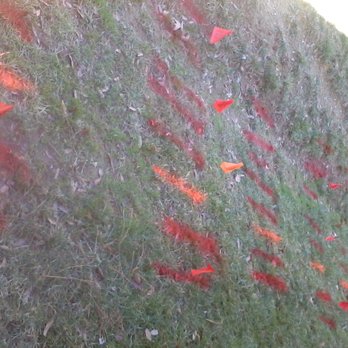 USIC LOCATING SERVICES - Updated December 2025 - 9045 River Rd ...