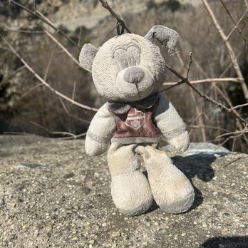 CAMP WILLIAMS RESORT - Updated April 2025 - 183 Photos & 65 Reviews ...