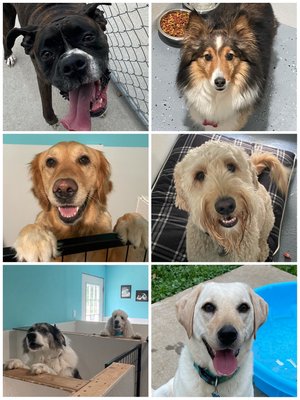 COUNTRYSIDE KENNELS - Updated May 2026 - 21 Photos - Old Fredericktown ...