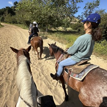CIRCLE K RIDING STABLES - Updated December 2024 - 192 Photos & 276 ...