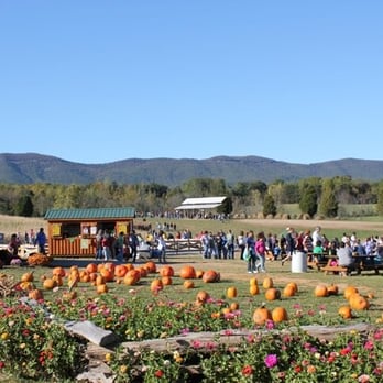 LAYMAN FAMILY FARMS - Updated October 2025 - 56 Photos & 11 Reviews ...