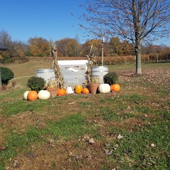 FEATHER HILLS VINEYARD AND WINERY - Updated April 2025 - 37 Photos & 40 ...