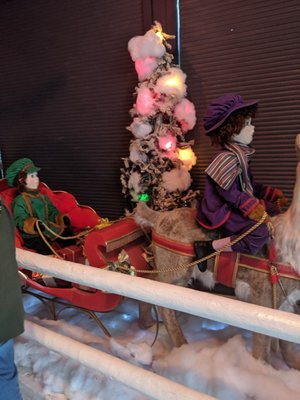 The Christmas Loft - 89 Photos & 16 Reviews - Christmas Trees - 2028 ...