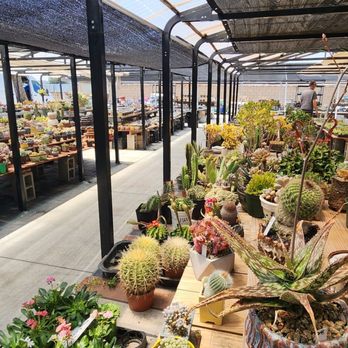 SHUNA’S SUCCULENT HOUSE - Updated May 2025 - 123 Photos & 33 Reviews ...