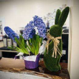 ROSES RESTAURANT - Updated August 2025 - 341 Photos & 210 Reviews - 160 ...