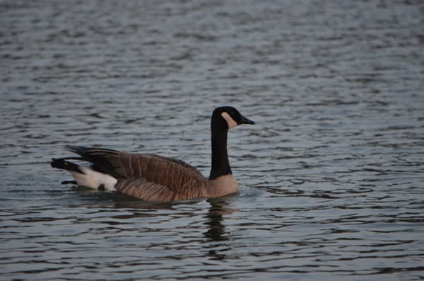 OAK RIDGE PRAIRIE COUNTY PARK - Updated September 2025 - 27 Photos ...