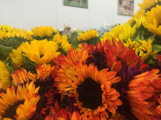 MAYESH WHOLESALE FLORIST - Updated October 2025 - 3365 N Nevada St ...