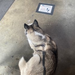 DUBLIN AUTOMOTIVE AND SMOG - 45 Photos & 136 Reviews - 7034 Village ...