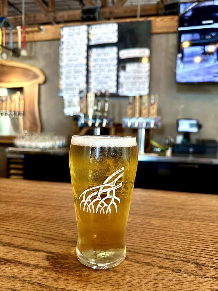WALKING TREE BREWERY - Updated September 2024 - 201 Photos & 120 ...