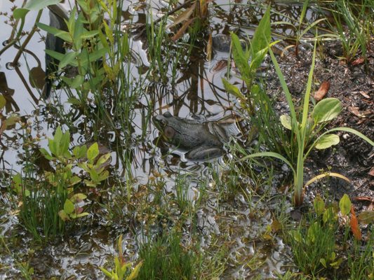 COUNTRYMAX - Updated October 2025 - 31 Photos - 1298 State Rt 104 ...