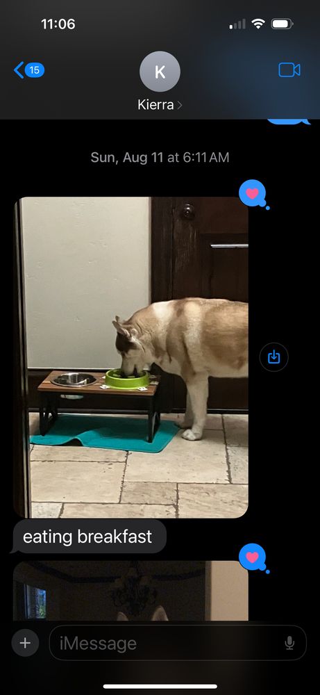 SPECTRUM PETS - Updated April 2025 - Request Consultation - 18 Photos ...