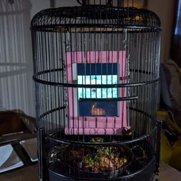 BARTON G. THE RESTAURANT - LOS ANGELES - Updated June 2025 - 8088 ...