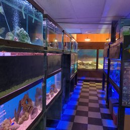 THE FISH PLACE - Updated November 2025 - 129 Photos & 84 Reviews - 141 ...