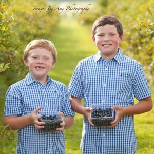 BUSH NECK FARM - Updated September 2025 - 14 Photos - 1502 Bush Neck Rd ...