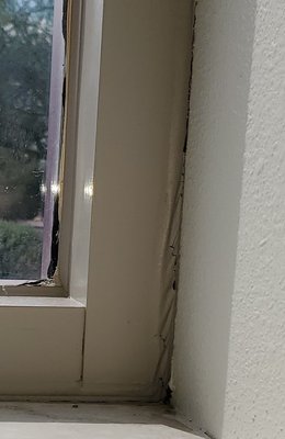 MESA PUBLIC LIBRARY - RED MOUNTAIN BRANCH - Updated November 2025 - 40 ...