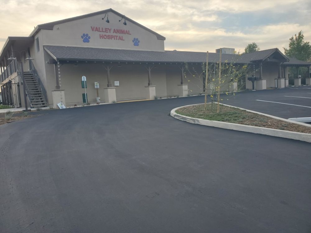 VALLEY ANIMAL HOSPITAL - Updated August 2024 - 96 Photos & 232 Reviews ...