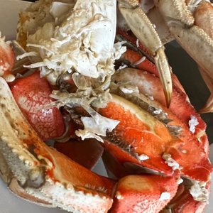 INFINITY BUFFET AT TREASURE BAY CASINO - 97 Photos & 69 Reviews - 1980 ...