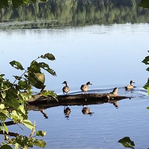 DOUGLAS STATE FOREST - 49 Photos & 20 Reviews - 107 Wallum Lake Rd ...