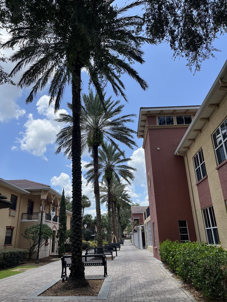 SOUTHEASTERN UNIVERSITY - Updated February 2025 - 21 Photos & 16 ...