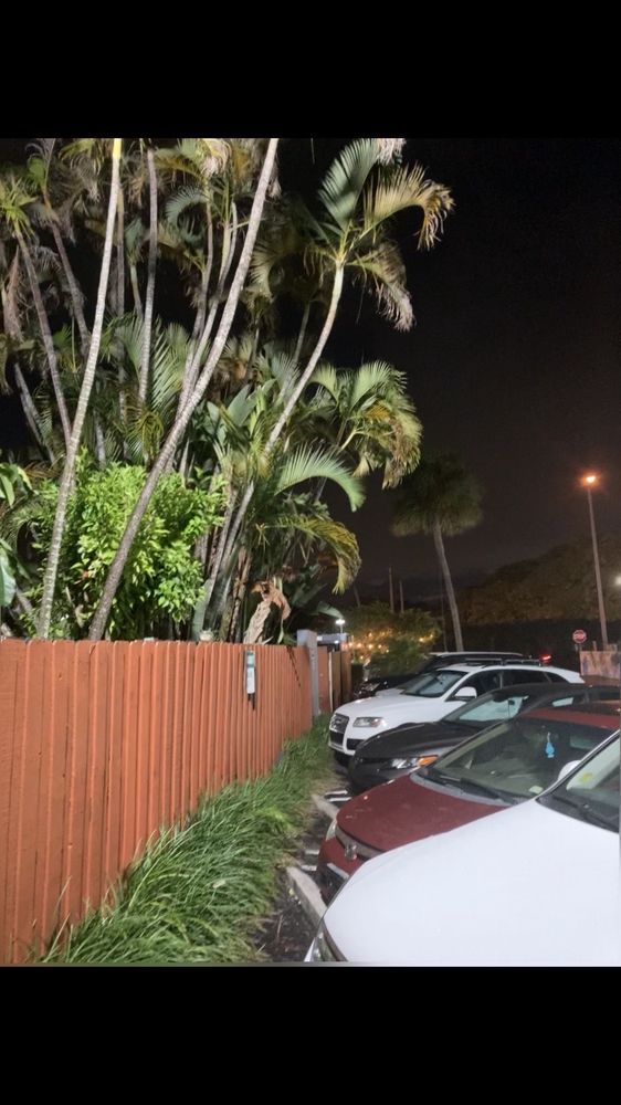 QUALITY INN MIAMI SOUTH - Updated March 2025 - 93 Photos & 39 Reviews ...