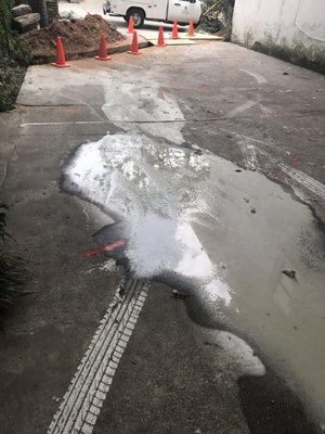 Creative Multicare - Updated January 2026 - 11 Photos - 14 Reviews ...