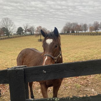 MILL RIDGE FARM - Updated October 2025 - 73 Photos & 16 Reviews - 2800 ...