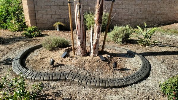 KWIK KERB BY GUIDO - Updated July 2024 - 100 Photos & 36 Reviews ...