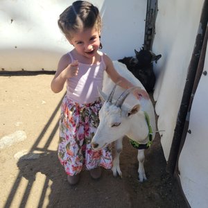 RANCHO LOS FONSECA - 117 Photos & 24 Reviews - 3275 Bronson St, Muscoy ...