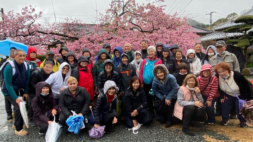 NON-STOP TRAVEL - 11 Photos & 31 Reviews - 615 Piikoi St, Honolulu ...