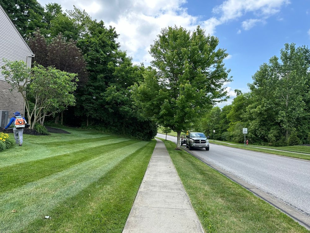 ZACK LANDSCAPING - Updated December 2025 - Milford, Ohio - Landscaping ...