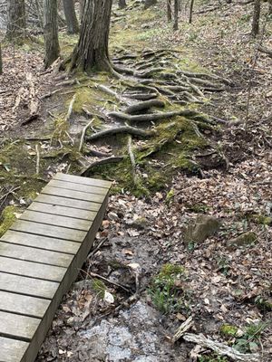 SUNRISE PARK - Updated December 2025 - 53 Photos - 2075 Mountain Rd ...