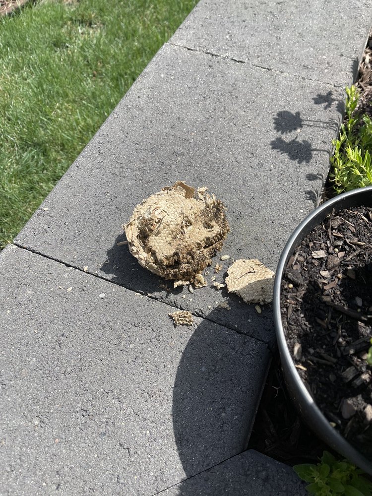 THE BEE HUNTER - Updated October 2025 - 13 Reviews - Pittsburgh ...