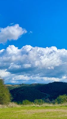 AMERICAN RIVER CANYON OVERLOOK PARK - Updated August 2024 - 63 Photos ...