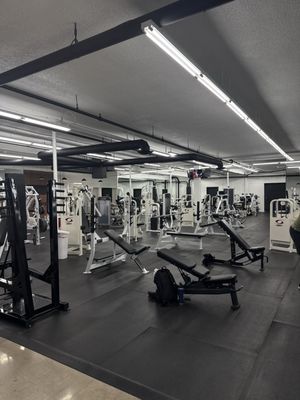 ALL-ONE GYM - Updated December 2025 - 34 Photos & 71 Reviews - 5436 ...