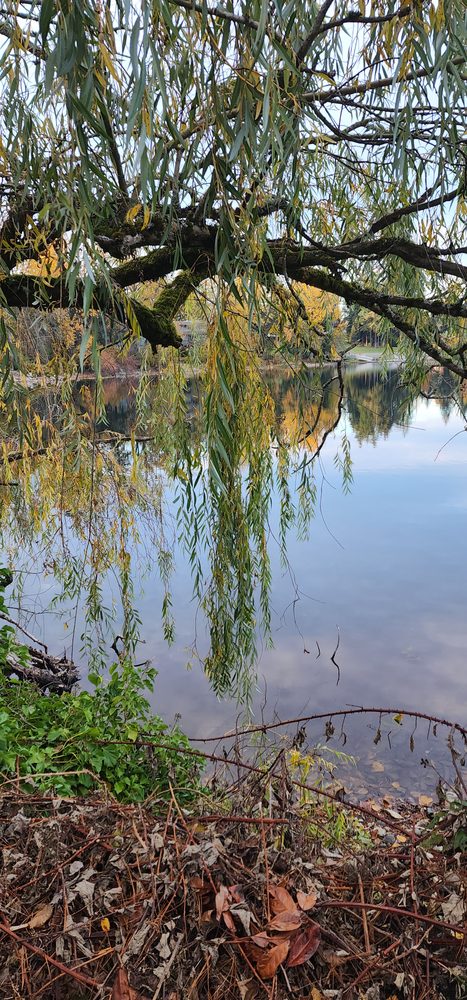 ANGLE LAKE RV PARK - Updated September 2025 - 30 Photos - 2916 S 200th ...