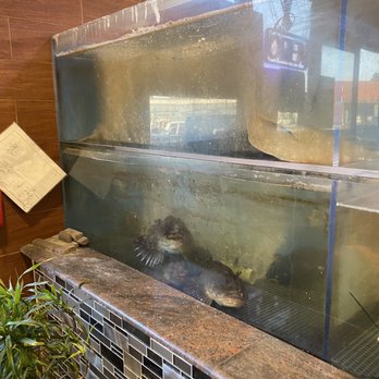 FU LAM MOON - Updated October 2025 - 691 Photos & 393 Reviews - 40460 ...