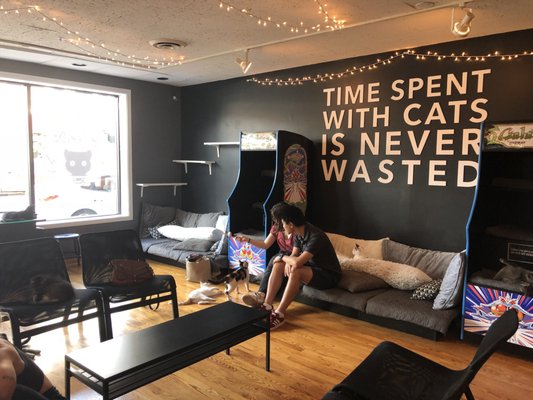 THE CATCADE - 241 Photos & 99 Reviews - Animal Shelters - 1235 W ...