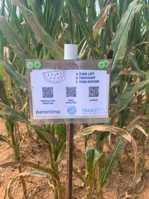 GET LOST CORN MAZE - Updated January 2026 - 20935 Nc 73 Hwy, Albemarle ...