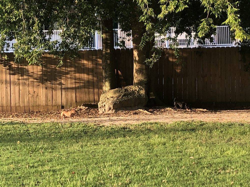 CAJUN RV PARK - Updated July 2024 - 28 Photos & 35 Reviews - 1860 Beach ...