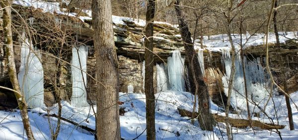 HILLBILLY HIPPIE HIDEAWAY - Updated October 2025 - 11 Photos - Memphis ...