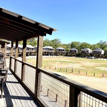 SON’S RIO CIBOLO - Updated October 2025 - 116 Photos & 44 Reviews - 178 ...