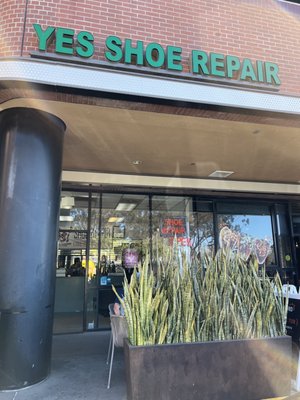 YES SHOE REPAIR - Updated June 2025 - 89 Photos & 165 Reviews - 4240 El ...