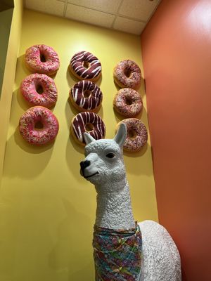 SUGAR LLAMAS - Updated March 2025 - 56 Photos & 41 Reviews - 242 Rufe ...