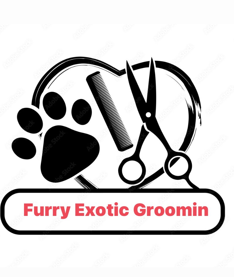 FURRY EXOTIC GROOMING - Cleveland, Ohio - Pet Groomers - Phone Number ...