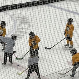 ALPHA ICE COMPLEX - Updated June 2025 - 66 Alpha Dr W, Pittsburgh ...
